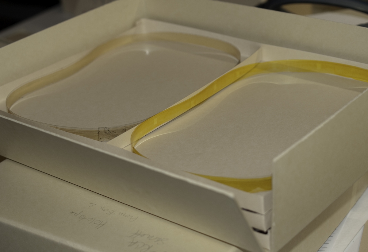 Conservation: Rainbows on Holotape | Hagley