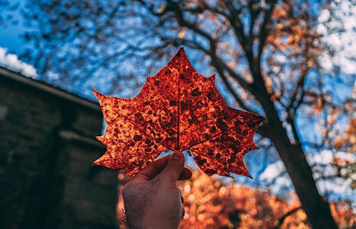 Fall Celebration Happy Hour